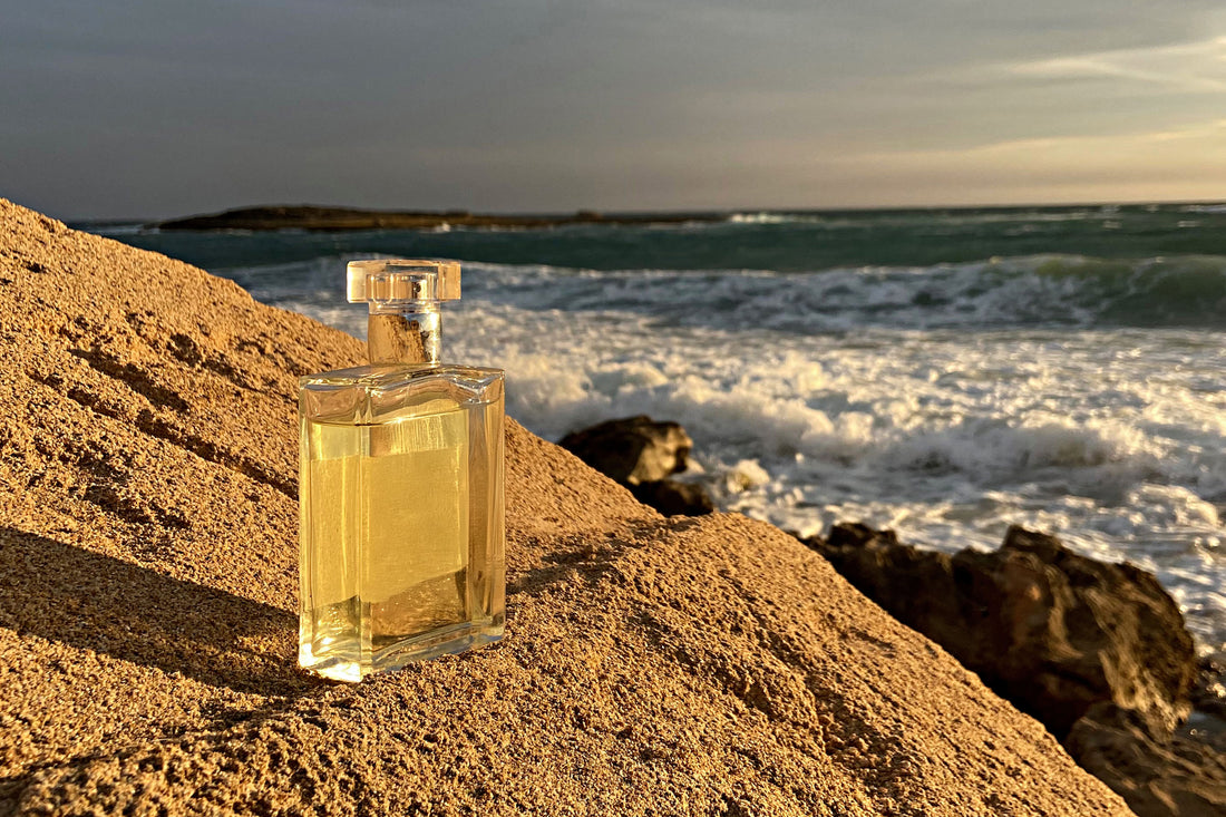 Body Mist vs Body Spray: Know the Difference | Embark Perfumes