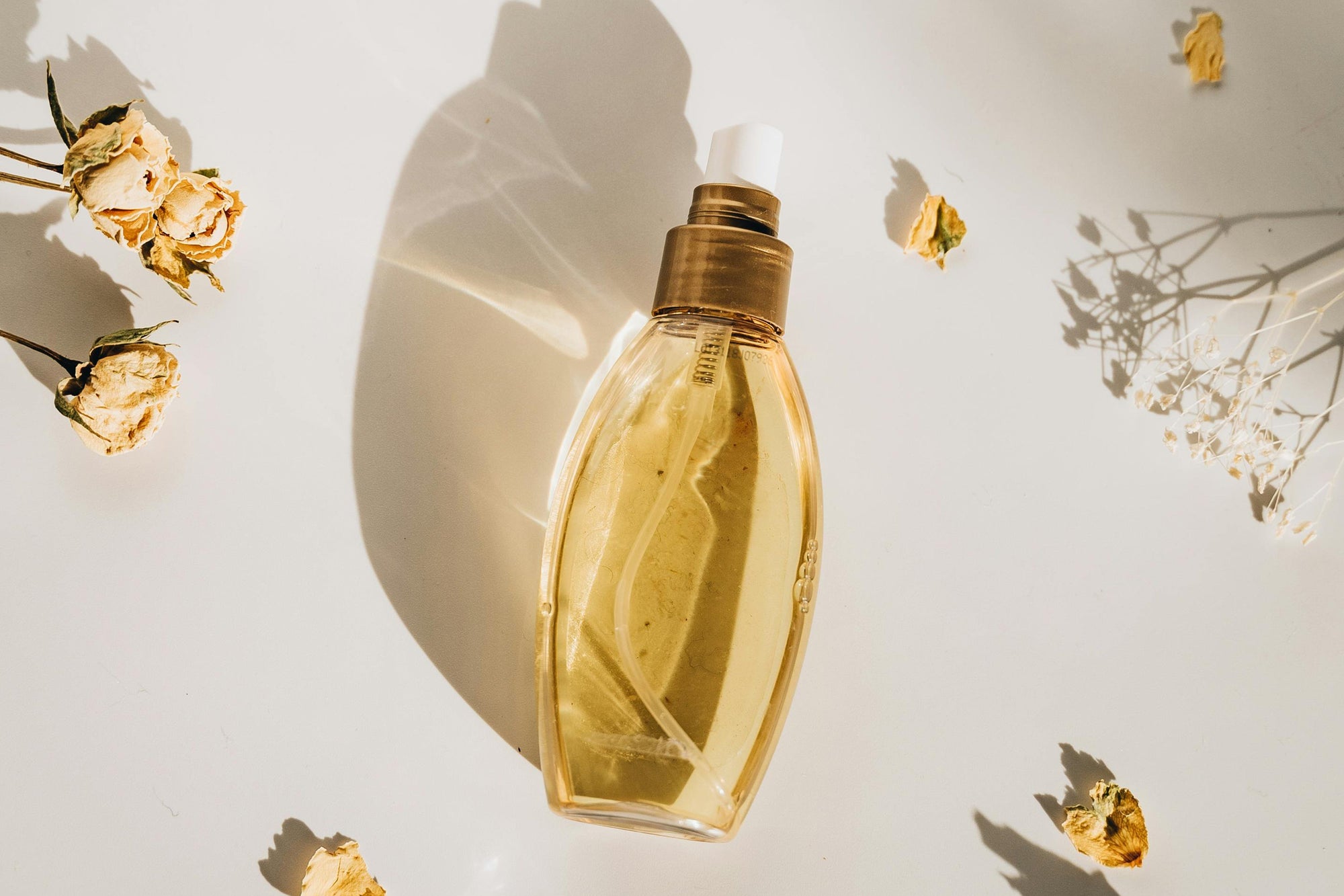 Affordable Perfume Dupes for Luxury Fragrances | Embark Perfumes
